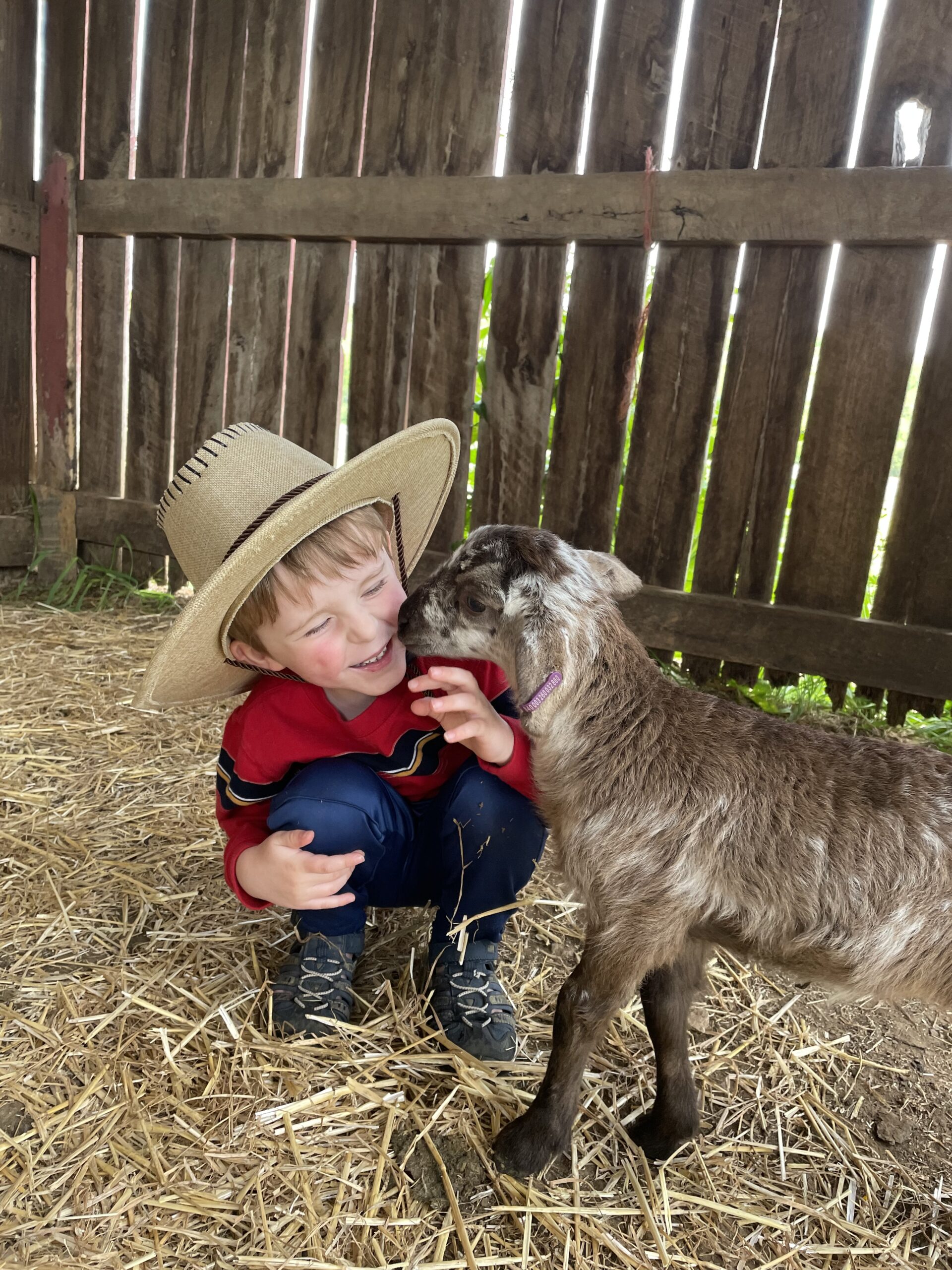 About - The Farm Doctor
